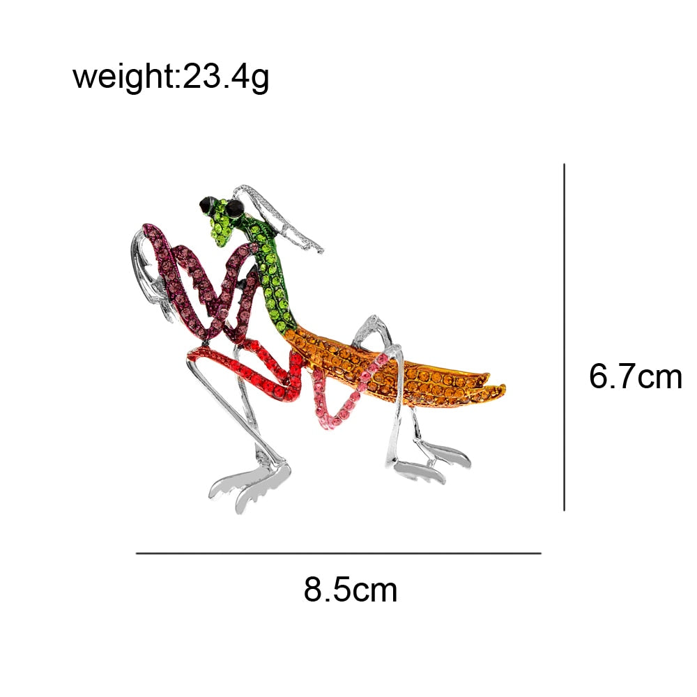 Rhinestone Colorful Praying Mantis Brooch – Gofaer Finds store!