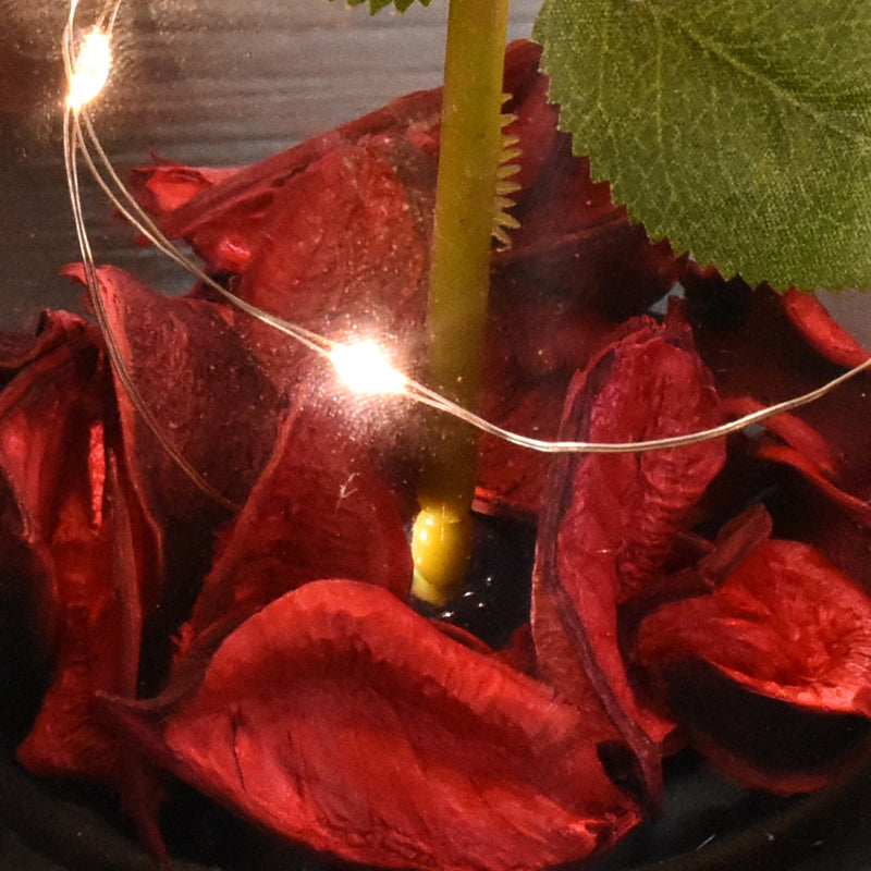Eternal Red Rose With LED Light In Glass Dome For Wedding Party Gift ...