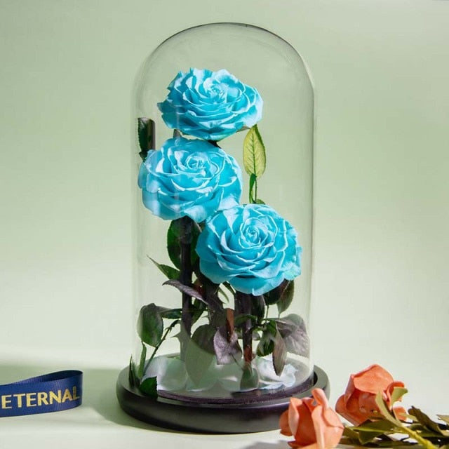 Eternal Preserved Roses In Glass Dome 5 Flower Heads Rose Forever ...
