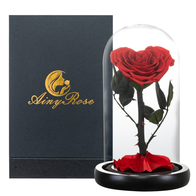 Eternal Preserved Roses In Glass Dome 5 Flower Heads Rose Forever ...
